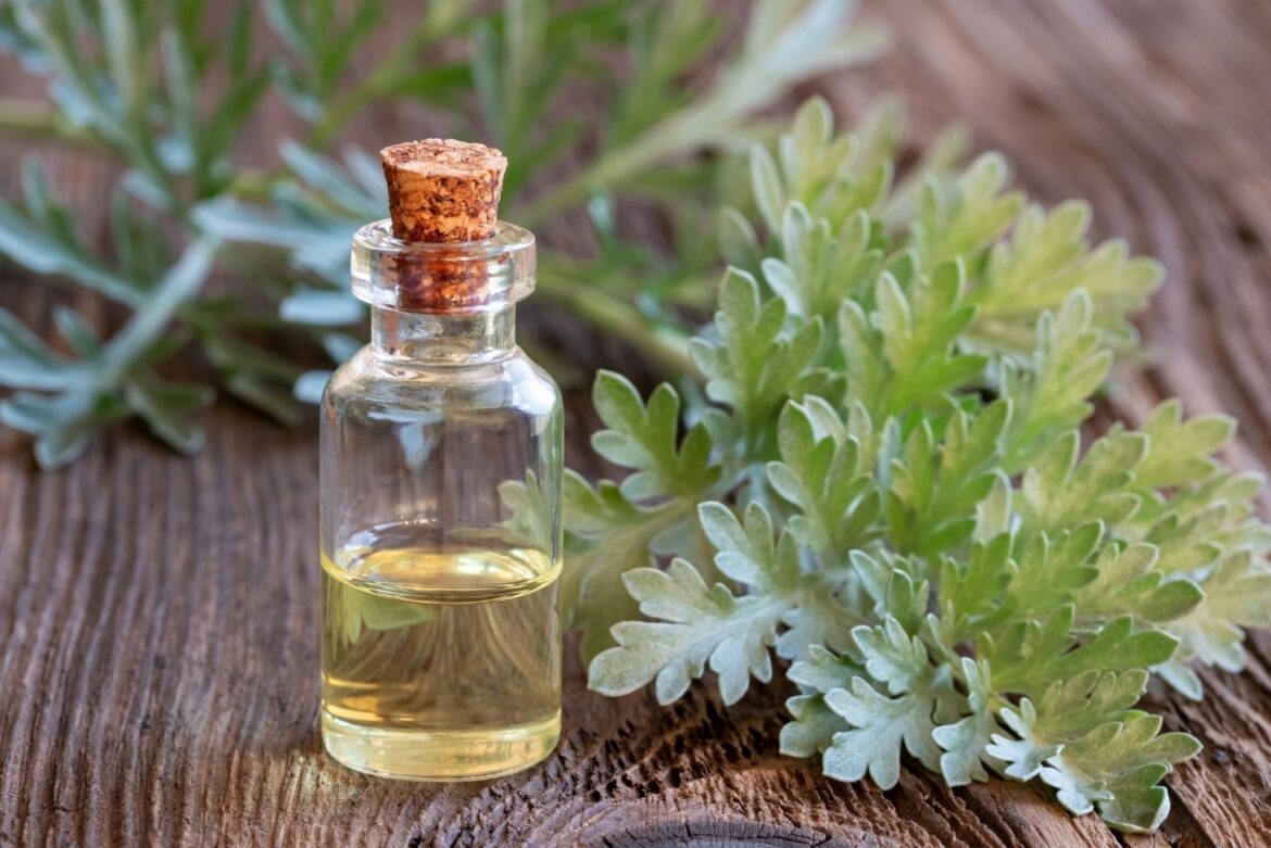 Are There Natural Alternatives to Hydroxychloroquine? YES! 7