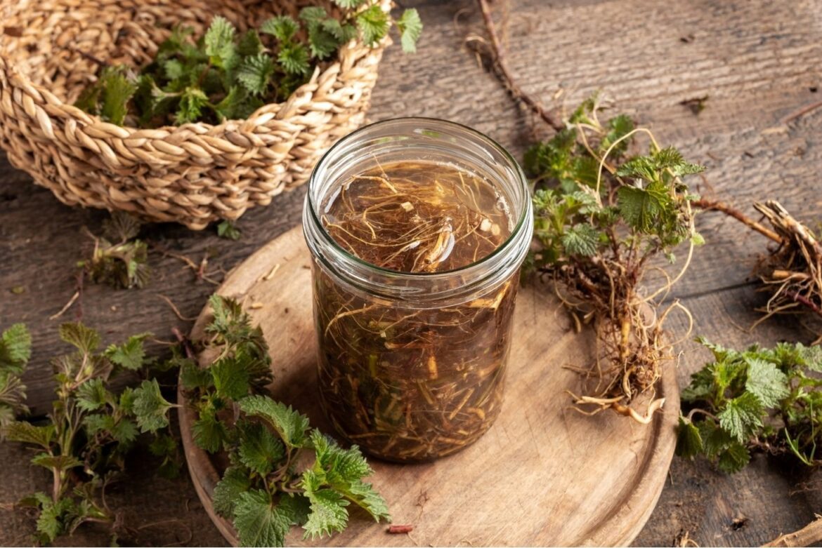 How to Make Herbal Tinctures at Home | 8 Amazing Tinctures