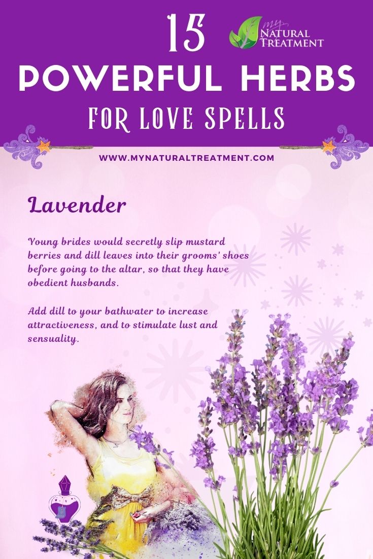 15 Best Herbs for Love Spells and Magic Recipes DIY