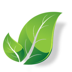 3 Highest Natural Sources of Quinine - Natural Quinine Foods