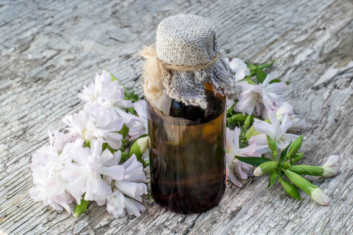 How to Make Shampoo at Home with Soapwort -100% Natural