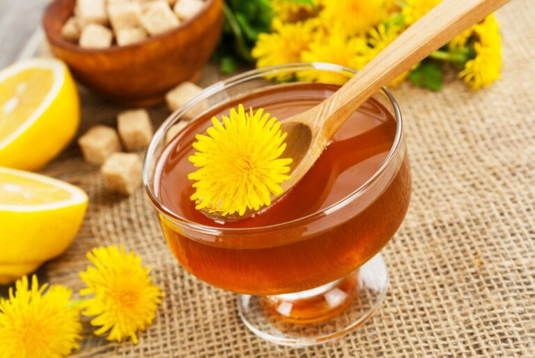9 Amazing Herbal Syrup Recipes & Their Medicinal Uses