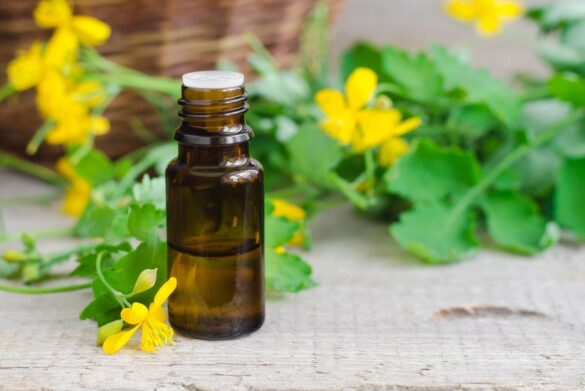 How to Use Celandine for Warts - 5 Ways - 100% Natural