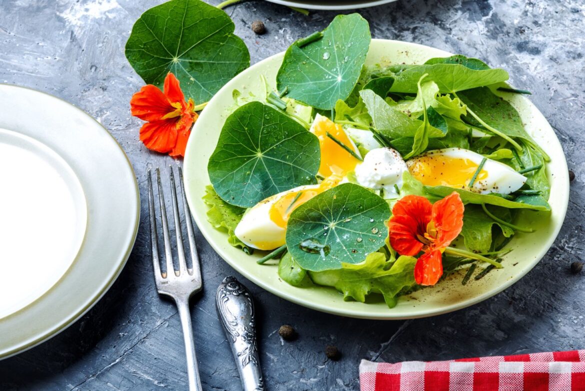 9 Amazing Health Uses of Nasturtium - Are Nasturtium Edible?