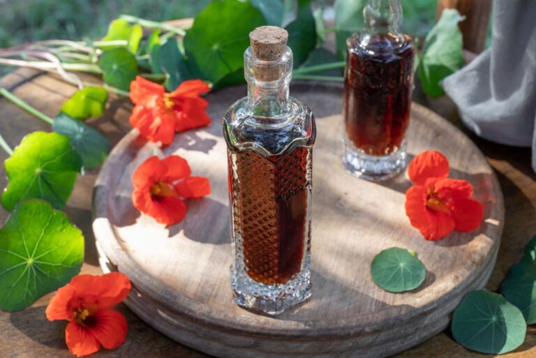 9 Amazing Health Uses of Nasturtium - Are Nasturtium Edible?