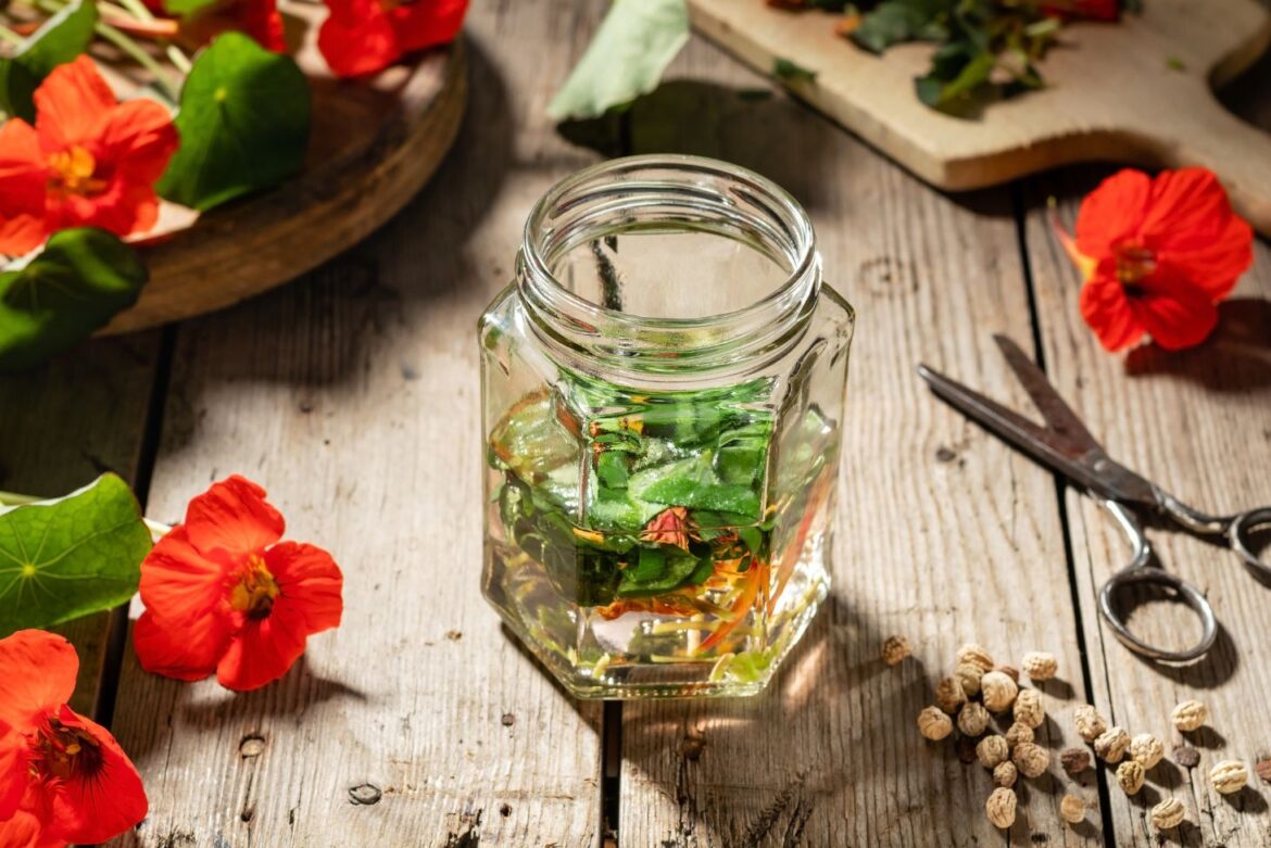 9 Amazing Health Uses of Nasturtium - Are Nasturtium Edible?