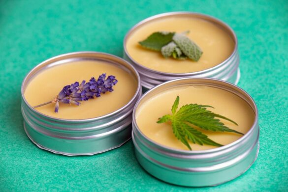 5 Powerful Herbal Salve Recipes & How to Make Them at Home