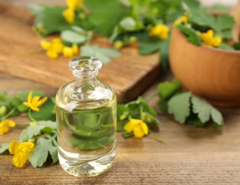 How to Make Celandine Oil - Original Recipe - 3 Amazing Uses