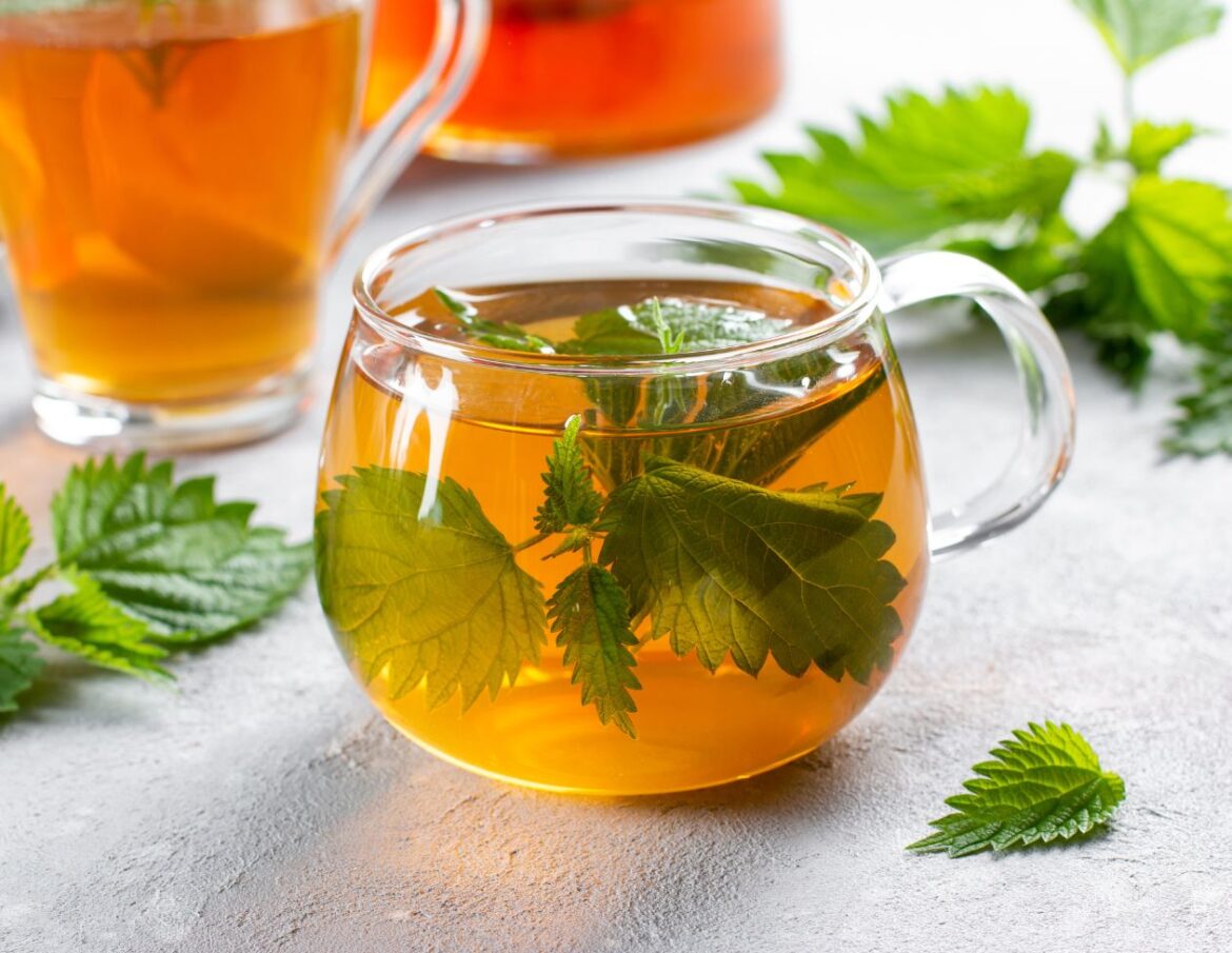 How to Make Nettle Root Decoction - 15 Amazing Health Uses