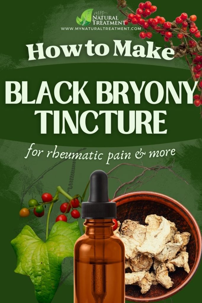 How to Use Black Bryony for Rheumatic Pain -5 Effective Uses