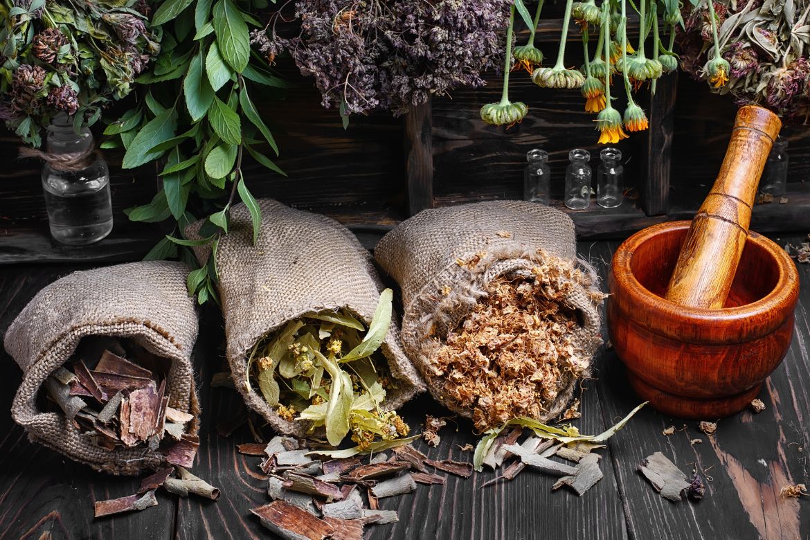 Herbal Medicine Side Effects: Safe Use of 15 Popular Herbs