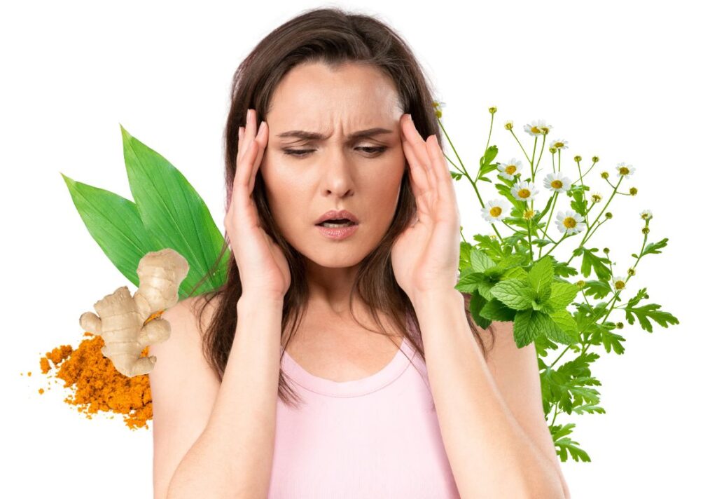 🌿 Best Herbs for Migraines: 7 Scientifically Proven Remedies