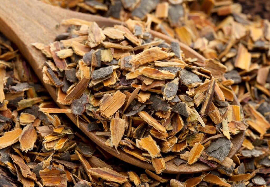 How to Use Alder Buckthorn Bark for Constipation - 2 Ways